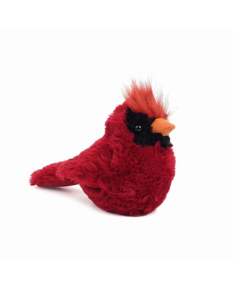 crimson cardinal – Little
