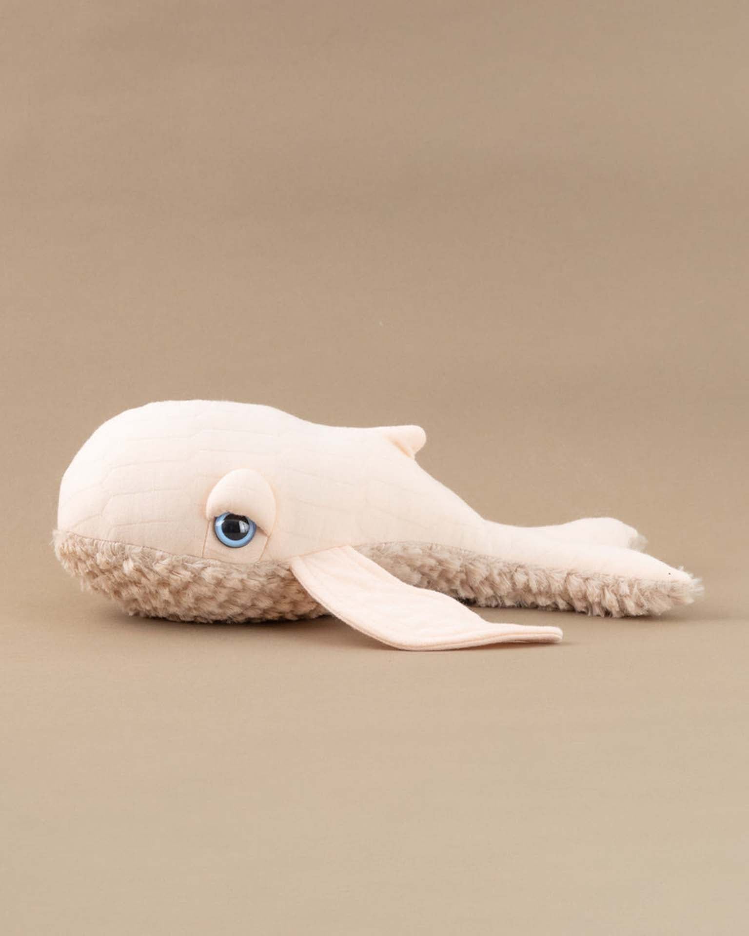 mini lady whale – Little