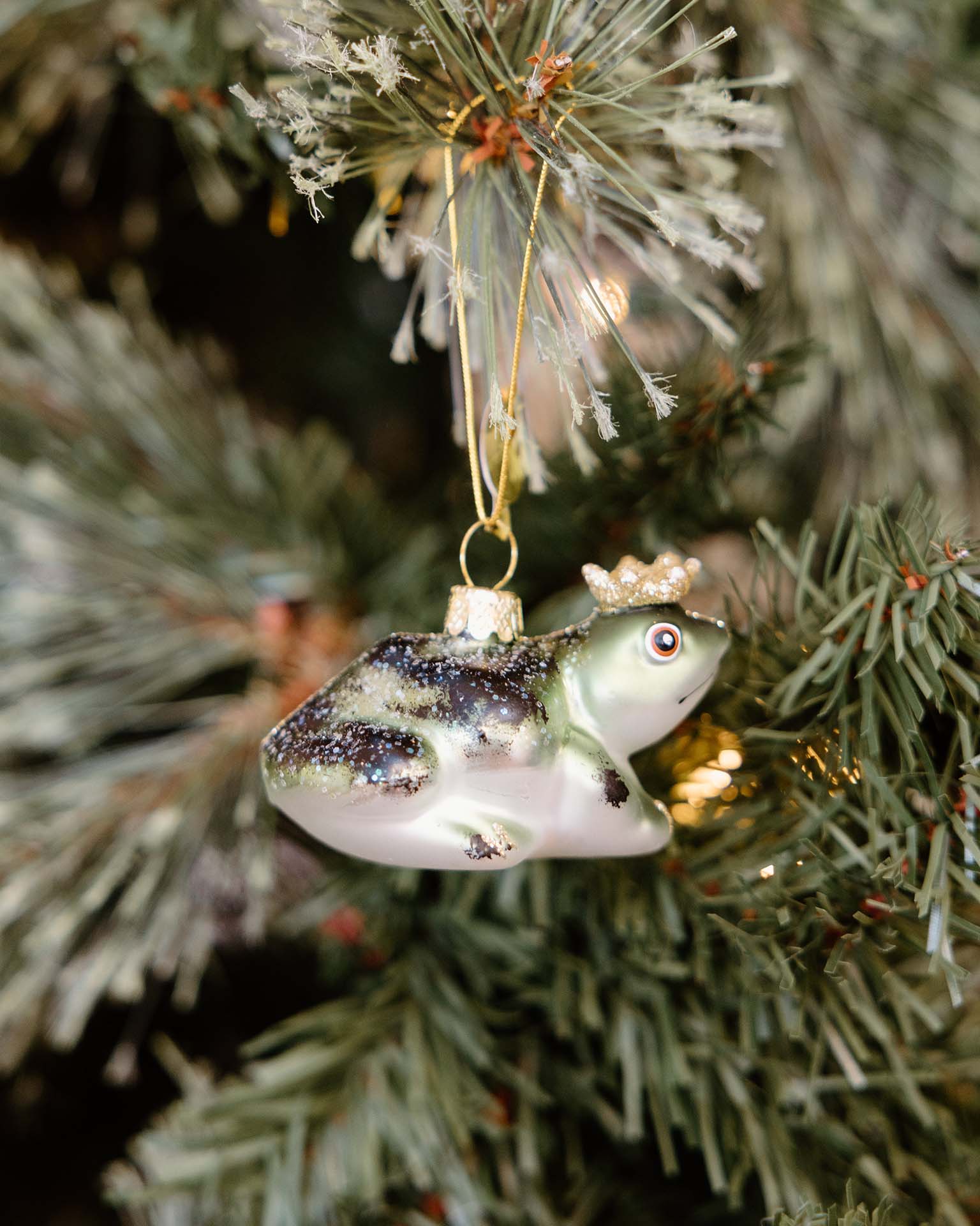 cody foster heraldly frog ornament at Little