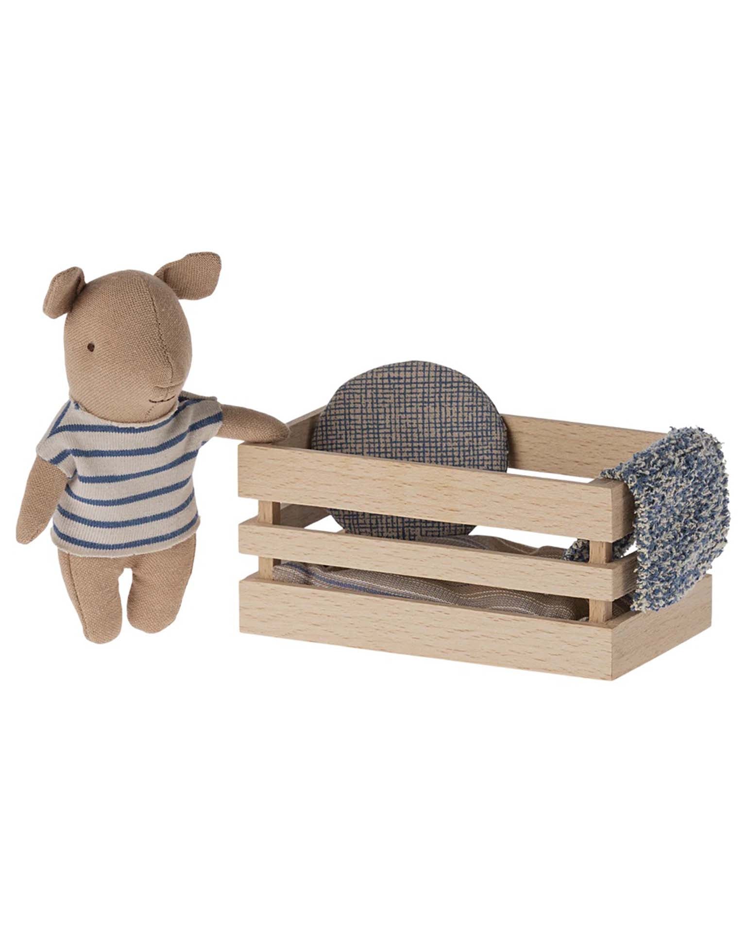 baby boy pig in box – Little