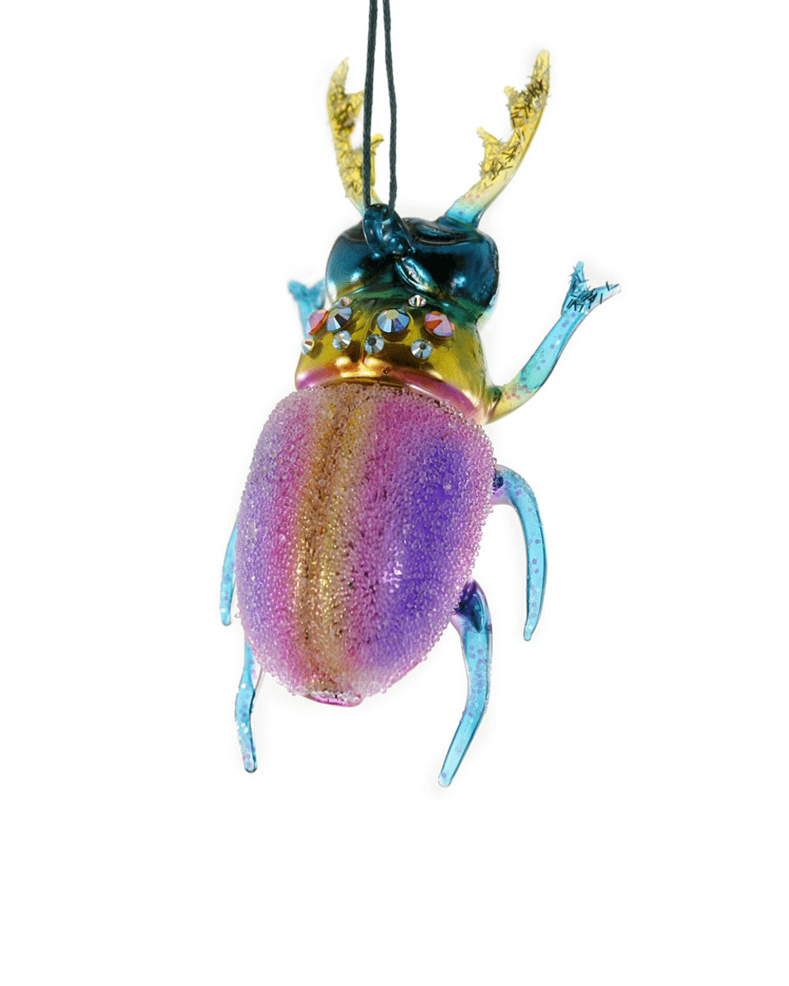 Iridescent Horned Beetle